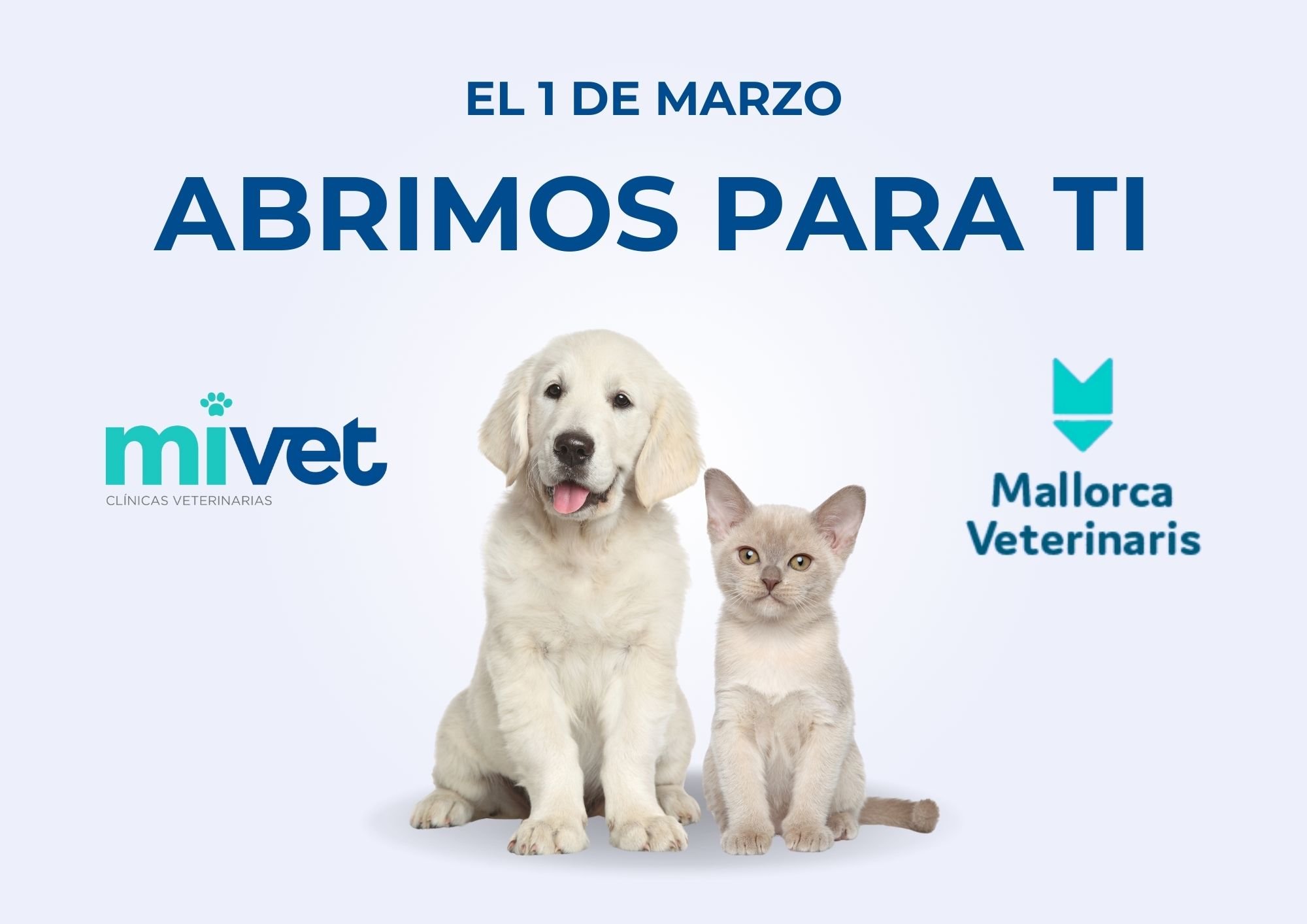 Descubre el nuevo Hospital Veterinario Mallorca Veterinaris | MiVet | MiVet
