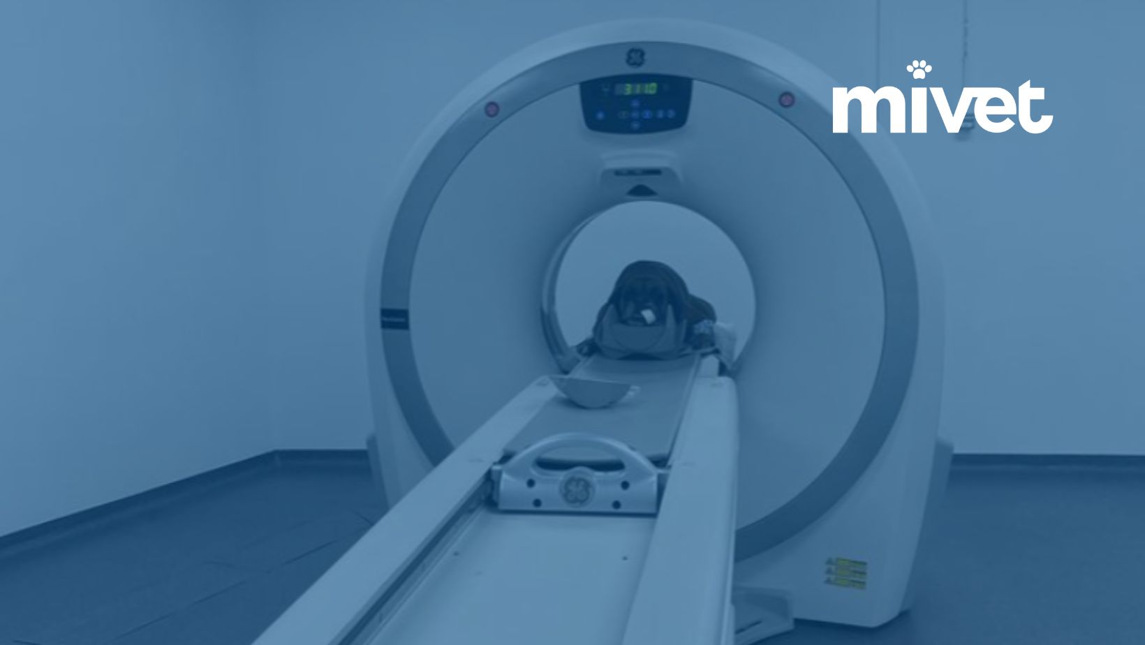 MiVet Hospital Veterinario Atlántico en A Coruña | MiVet