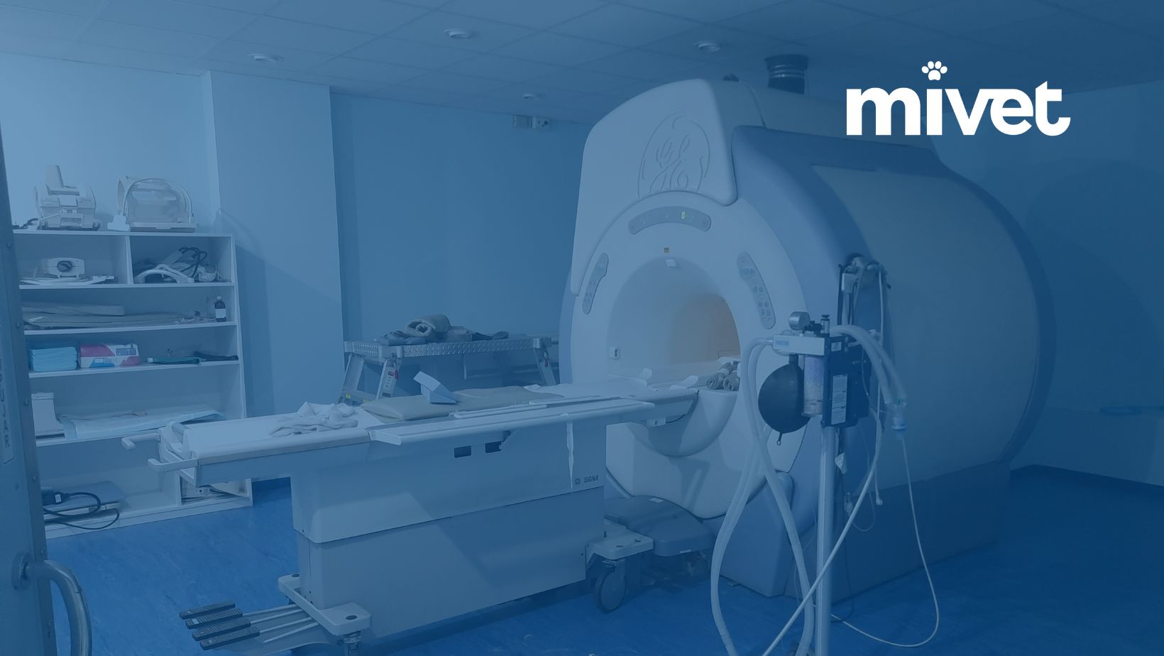 Pasos para vender tu clínica veterinaria a un grupo | MiVet