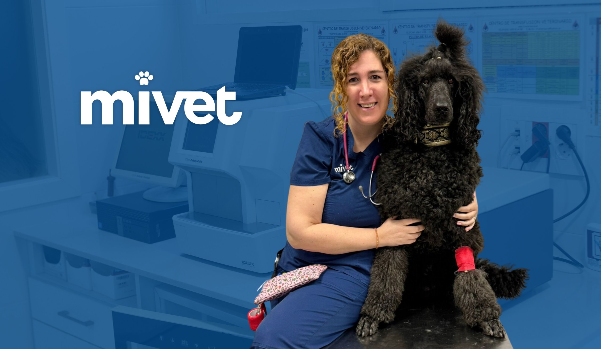 Hoy conocemos mejor a Noemi Moreno, del Hospital Veterinario Barcelona Sud | MiVet