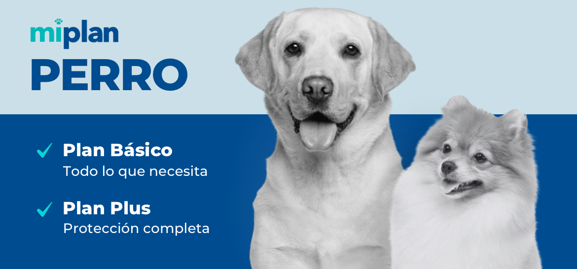 MiPlan Perro | MiVet