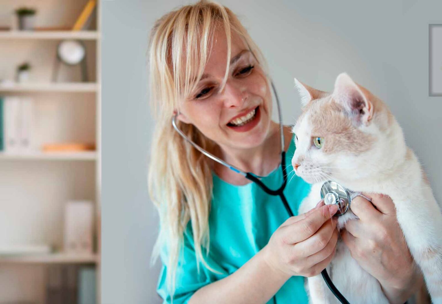 Calicivirus Felino: Qué Es y Síntomas | MiVet
